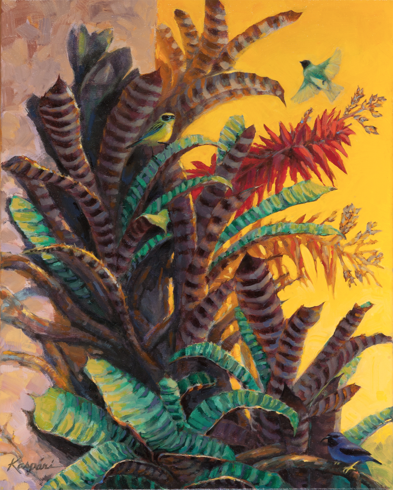 Sunset, Amazon Canopy Birds – Drawing The Motmot