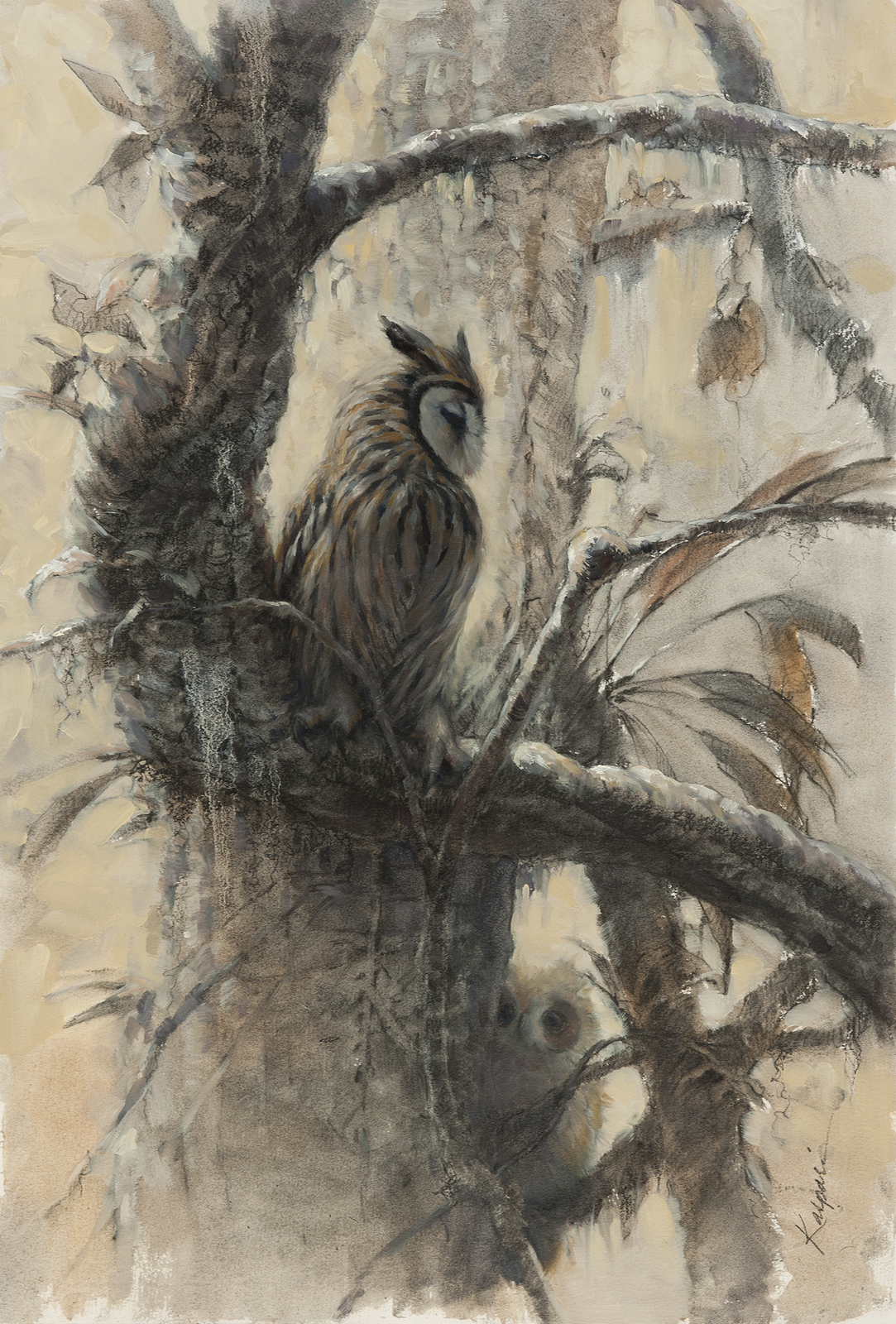 Moonchild – Drawing The Motmot