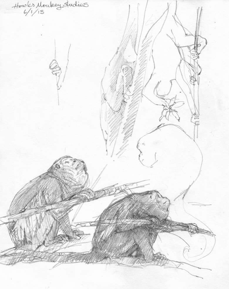 Panama/Barro Colorado Island Sketchbook 2013 – Drawing The Motmot