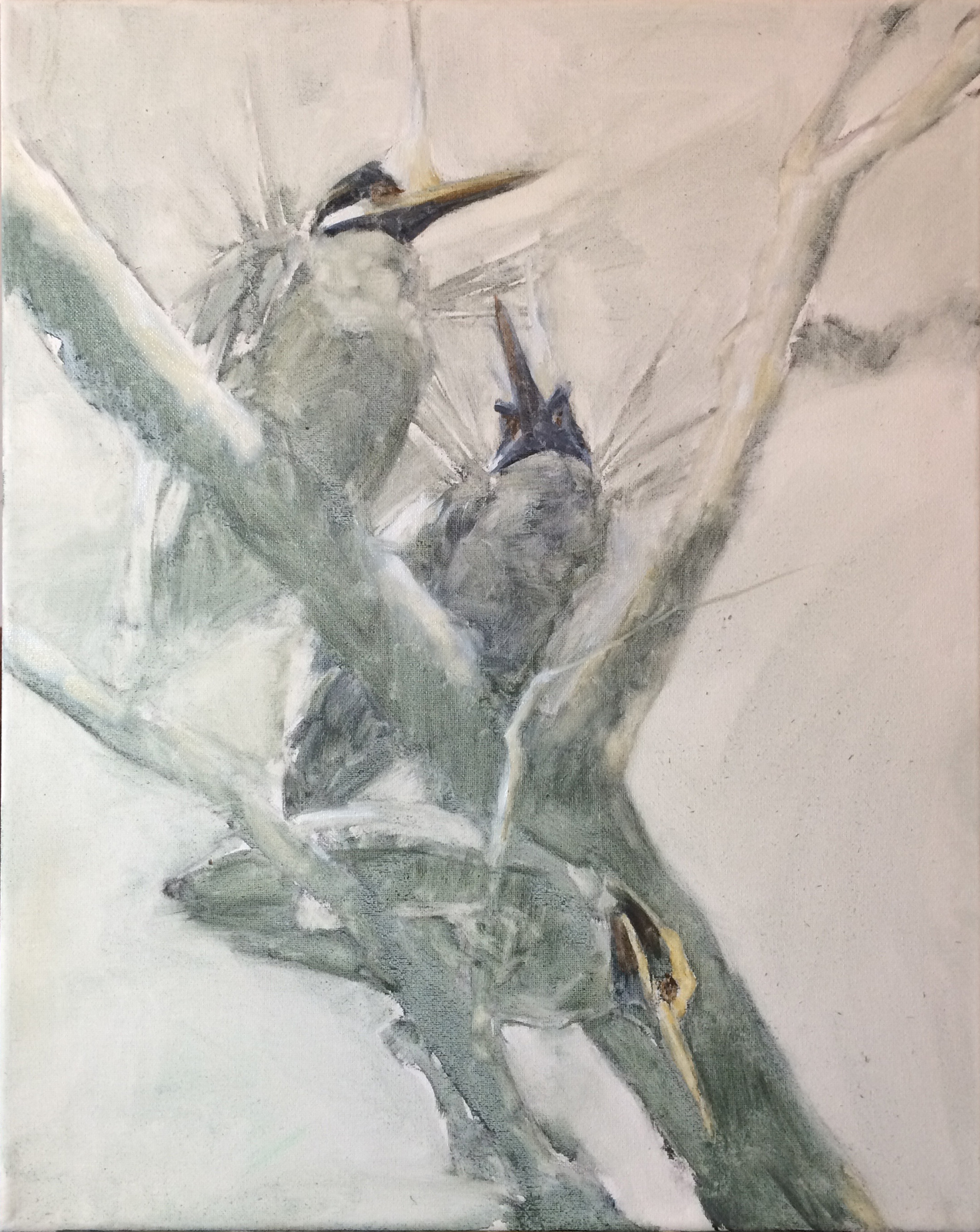 The Better Part of a Year – Drawing The Motmot