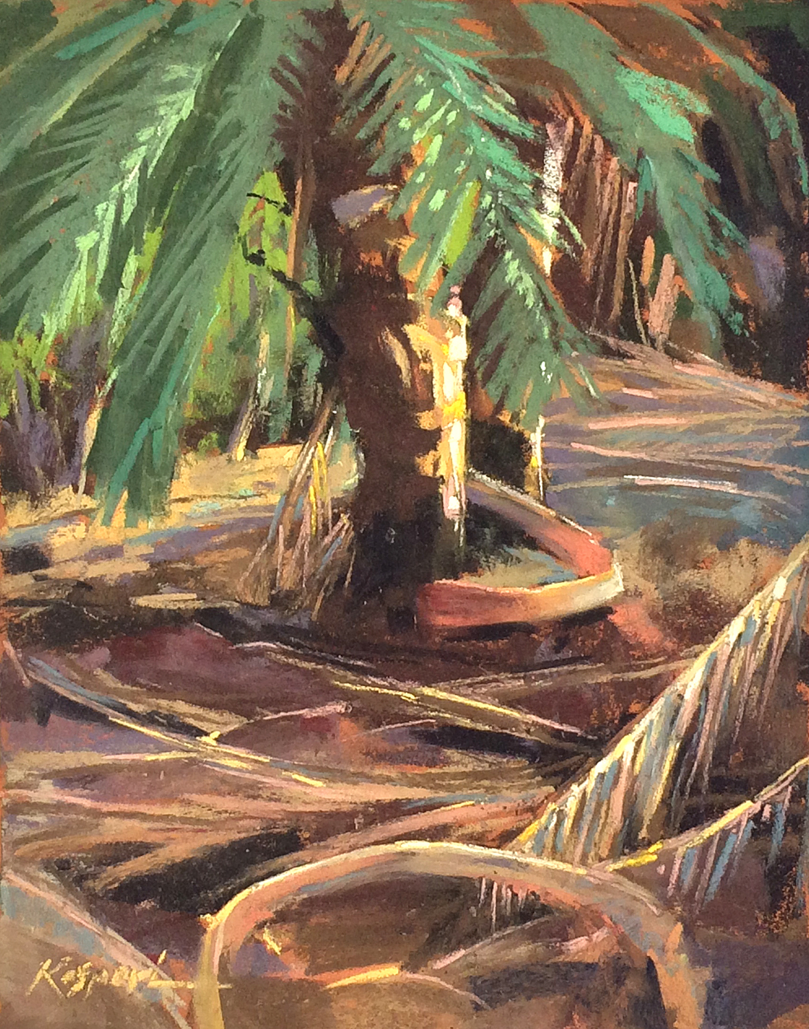 The Dead Sea Project – Drawing The Motmot