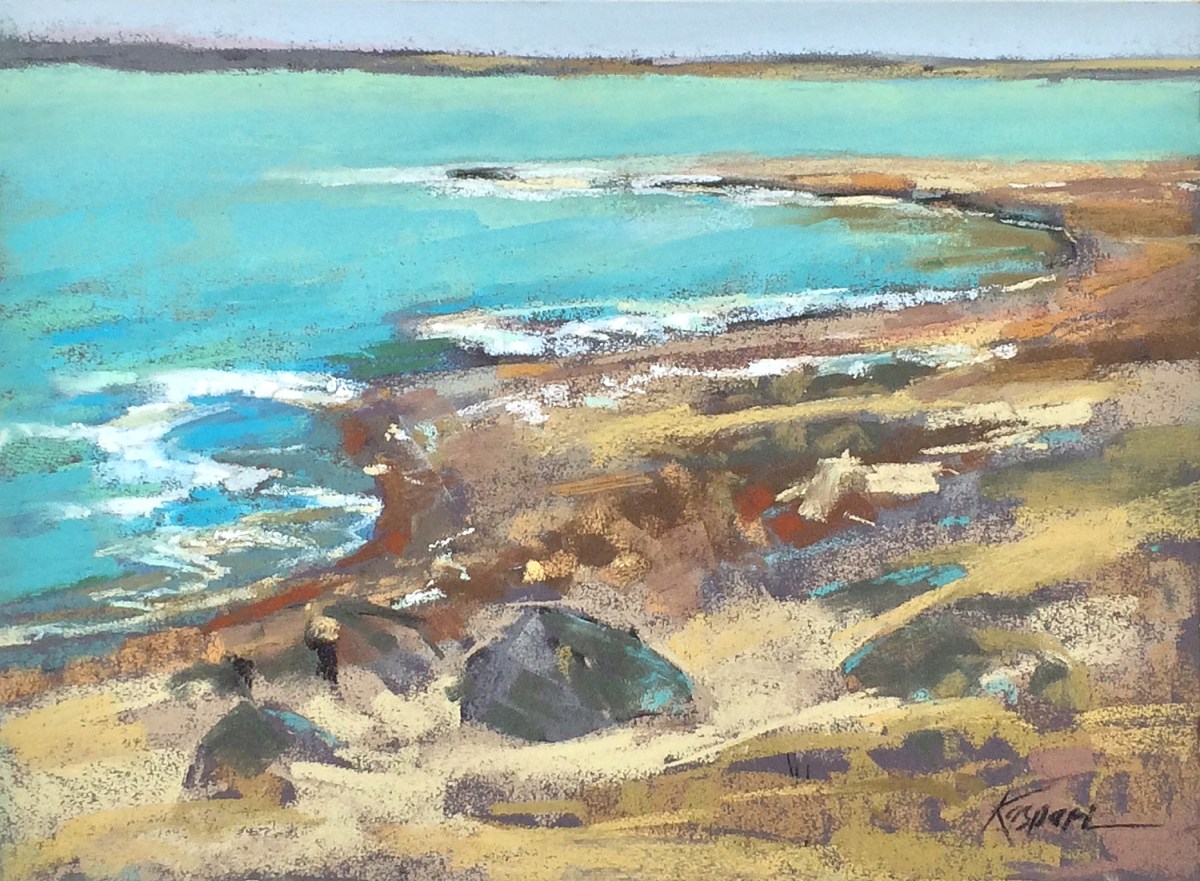 The Dead Sea Project – Drawing The Motmot