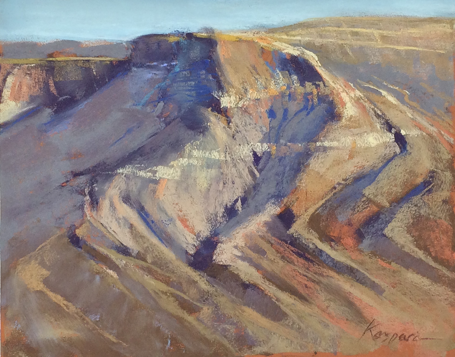 The Dead Sea Project – Drawing The Motmot