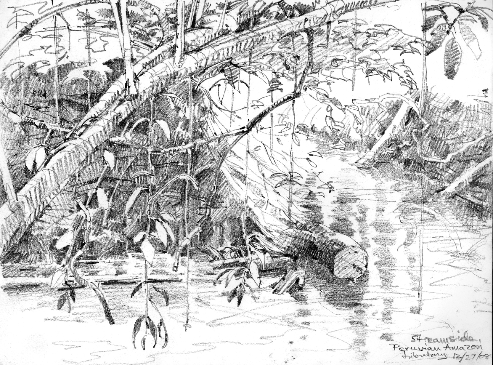 StreamsideLandscape – Drawing The Motmot